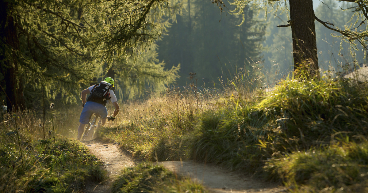 Freeride & Downhill in Südtirol