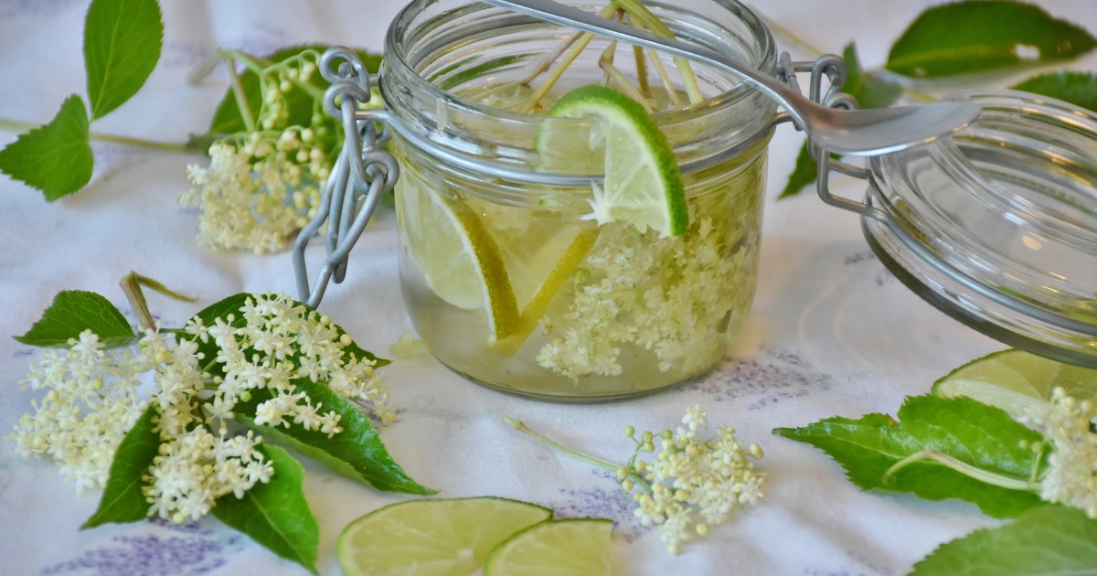 Holundersirup | Rezept & Wissenswertes | Südtirol Blog