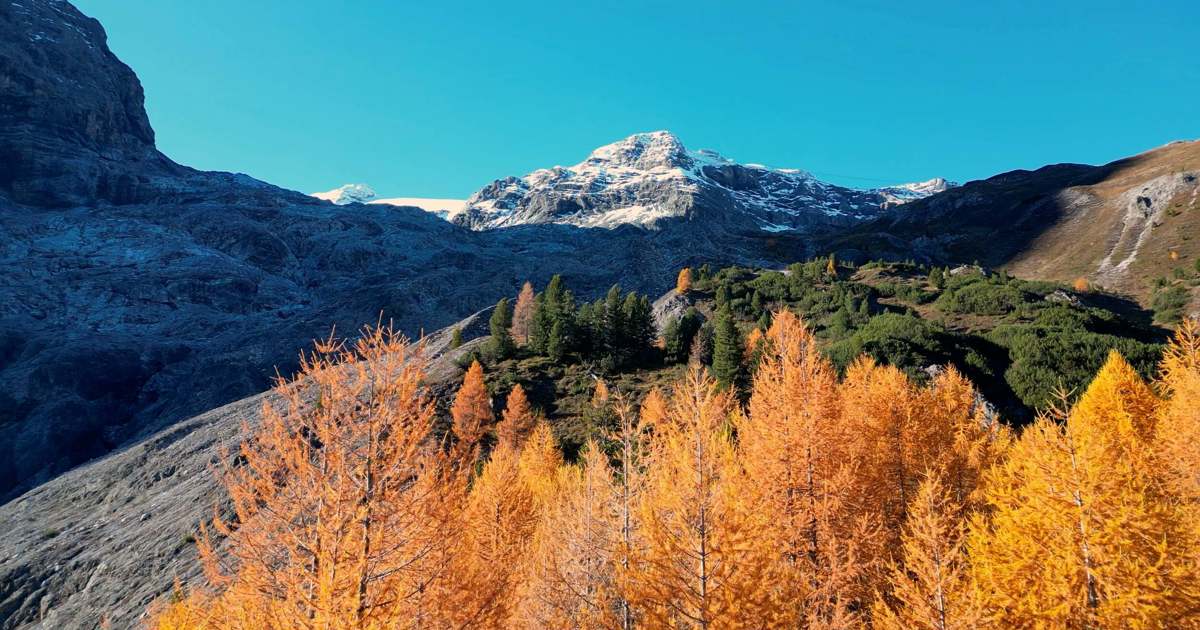 Alpin Panorama Hotel Hubertus - Olang am Kronplatz / Südtirol